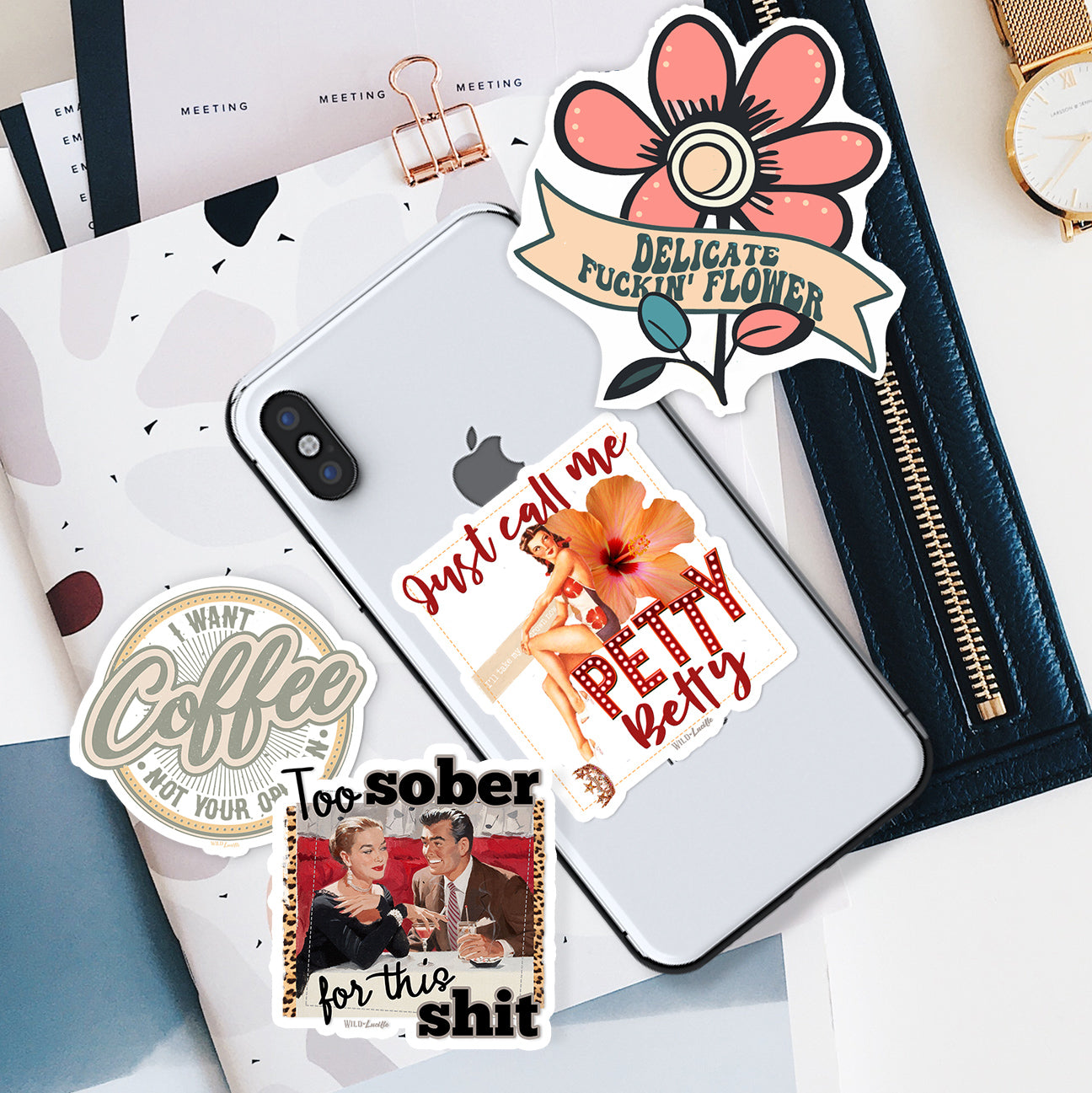 Sassy Vinyl Sticker Decals | Shop Wild Lucille – Decal Barn